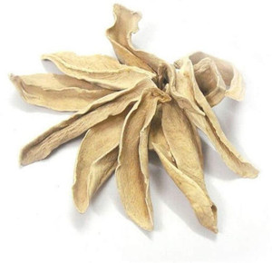 organic orchard Amchur Slice Price in India - Buy organic orchard ...