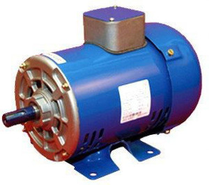 CG POWER INDUCTION MOTOR SINGLE PHASE 0.5HP GF6718H Induction Motor ...