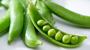 KANAYA Vegetable Seeds Garden Pea Matar Organic Seed Price in India ...