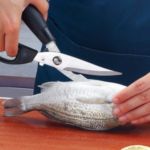 Nexshop Stainless Steel Fish Scissor Price in India - Buy Nexshop ...