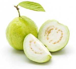 Paudha Guava Fuit Seed Price in India - Buy Paudha Guava Fuit Seed ...