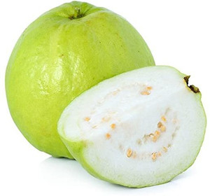 Paudha Guava Fuit Seed Price in India - Buy Paudha Guava Fuit Seed ...