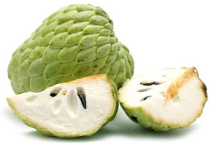 Paudha Custard apple (setaphal) Seed Price in India - Buy Paudha ...