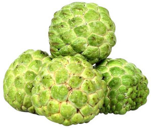 Paudha Custard apple (setaphal) Seed Price in India - Buy Paudha ...