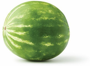 Paudha Watermelon Seed Price in India - Buy Paudha Watermelon Seed ...