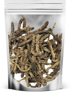 THINK ORGANIK KUTKI ROOT-KATUKI JADD-KUTAKI ROOTS-PICRORHIZA KURROA ...