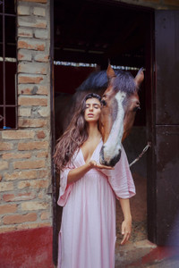 Horse poster & ghoda poster & animals POSTERS Waterproof Vinyl Sticker ...