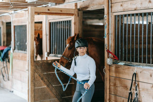 Horse poster & ghoda poster & animals POSTERS Waterproof Vinyl Sticker ...