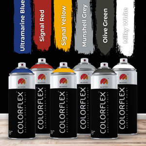 colorflex Multicolor Spray Paint 400 ml Price in India - Buy colorflex ...