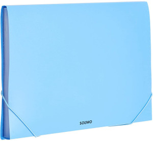 Flipkart.com | SHINING ZON Expandable File Folder Document File ...