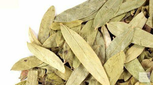 Multi Bazar Rasna Pan - Rasna Leaves - Rasnai Leaf - Ray Sanay Patta ...