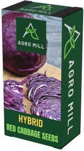 AGRO MILL PREMIUM QUALITY RED CABBAGE/PATTA GOBHI FOR KITCHEN GARDEN ...