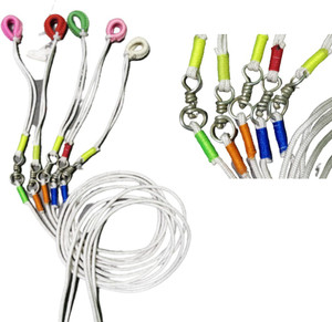 atsaya Aseel fighter murgee leg ropes long and rolling types 83 cm Bird ...