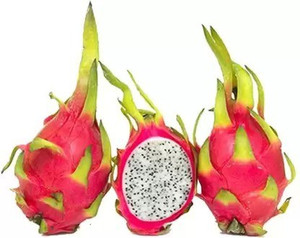 Aro Dragon Fruit Seed Price in India - Buy Aro Dragon Fruit Seed online ...