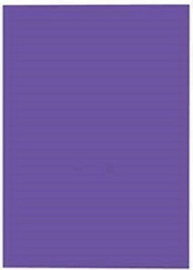Flipkart.com | Eclet A4 40 sheet purple colour sheet (180-240 GSM ...