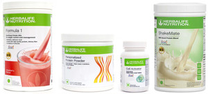 HERBALIFE Formula 1 Shake strawberry and protein 200 and shake mate and ...