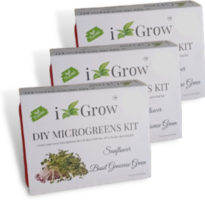 iGrow iGrow DIY MICROGREENS KIT Seed Price in India - Buy iGrow iGrow ...