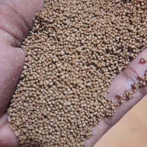 Logarithm Growel Growfin Fish Feed/Food floating pellets(0.8 mm) 425g 0 ...