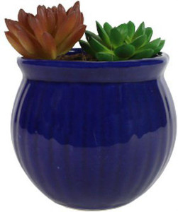 WONDERLAND Wonderland Ceramic Flower pot Matka Pot (D Blue) Plant ...
