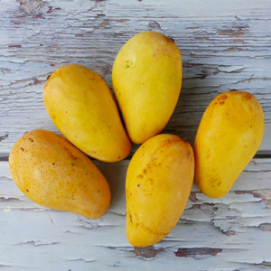Exotica Chok Anan Mango Plant Price in India - Buy Exotica Chok Anan ...