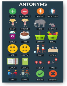 Antonyms Chart Kids learning | Poster for Kids Learning, Kindergarten ...