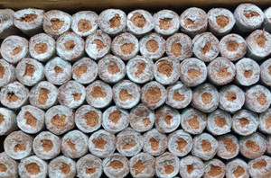 HOIVA Coco-peat Disc Netted Coin ( Pack of 200) Coir Seedling Coins ...