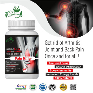 Gileon Pain Killer capsule for joint pain relief, knee pain, muscle ...