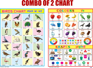 Combo of 2 Birds, Colour & Shapes Chart For Kids | 20x30Inch (51x76cm ...