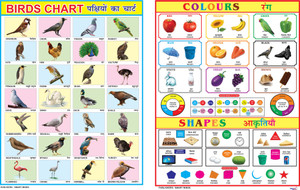 Combo of 2 Chart Birds & Colours, Shapes Chart For Kids | 28x40Inch ...