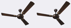 BAJAJ Grace Neo BBD 1200mm Timber Golden CF with 2 Year Warranty Energy ...