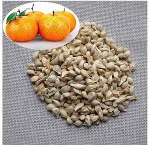 DIOART ™Dwarf Orange Seeds Fruit Seeds For Organic Farming Fruit Seeds ...