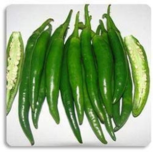 SM Exports Arka Meghna Chilli/Mirch Seeds (50 Seeds) Seed Price in ...