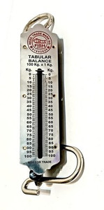 FORTUNE 100kg Spring Balance Stainless Steel Dial (Heavy) Weighing ...