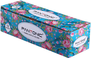 Flipkart.com | PANTONIC Fabric Acrylic Color