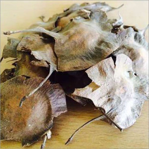 Ravel Red SandalWood, Lal Chandan, Rakta Chandanam, Red Sander Tree 300 ...