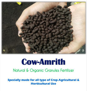 farmttatva Cow Amrith Natural and 100% Organic Granules Fertilizer for ...
