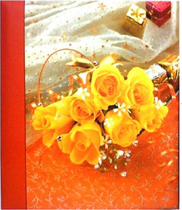 NATRAJ Memo Photo Album with 0.6mm Thick Extra Clear PVC Film, 100 ...