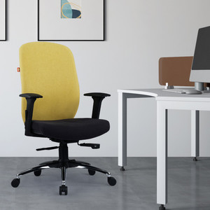 Durian Fabric Office Executive Chair Price in India - Buy Durian Fabric ...