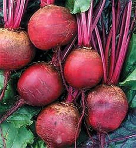 Spocco Beetroot Seed Price in India - Buy Spocco Beetroot Seed online ...