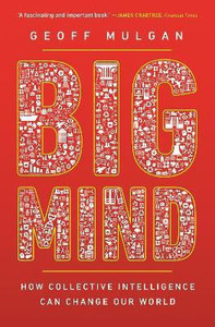 Big Mind: Buy Big Mind by Mulgan Geoff at Low Price in India | Flipkart.com