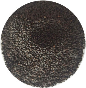 Indias Creation Babchi Seeds, Bakuchi Seeds, Bavchi Beej 250 gm Seed ...