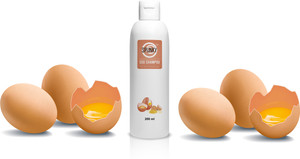 Spunky Egg Shampoo for Thick and Healthy Hair with Natural Egg Proteins ...