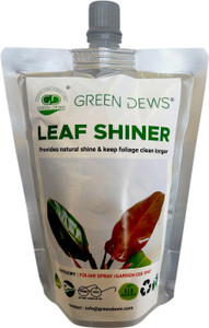 Green Dews LEAF SHINER LEAF SHINE LEAF GLOW NATURAL HYGIENIC NO OIL ...