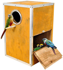 Taiyo Pluss Discovery Small Conure Breeding Nest Box,Natural Mangowood ...