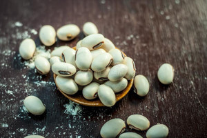 Kashvy kaunch beej, kaunch seeds white, mucuna pruriens white, kauch ...