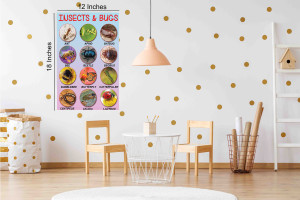 Insects & Bugs Name Learning Sticker Poster|Pack Of 1|Educational ...