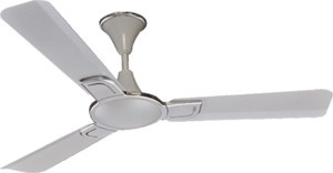 Dynasty Cinni-x Miraj with 1 Year Warranty Ultra High Speed 1200 mm ...