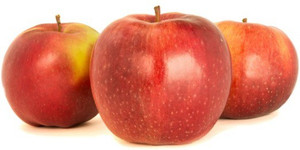 Apple Amari Price in India - Buy Apple Amari online at Flipkart.com