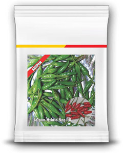 Biosnyg Bird Eye Hybrid Chilli Seeds 500 Seeds Seed Price in India ...