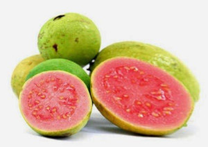 Biosnyg Sweet Amrut Fruit - Dwarf Plant Fruit Seeds 25 Seeds Seed Price ...